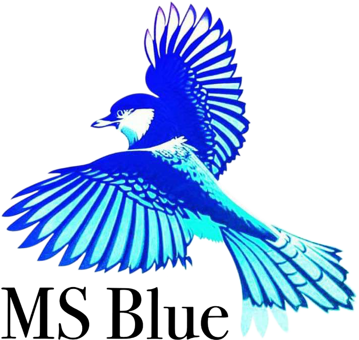 MS Blue
